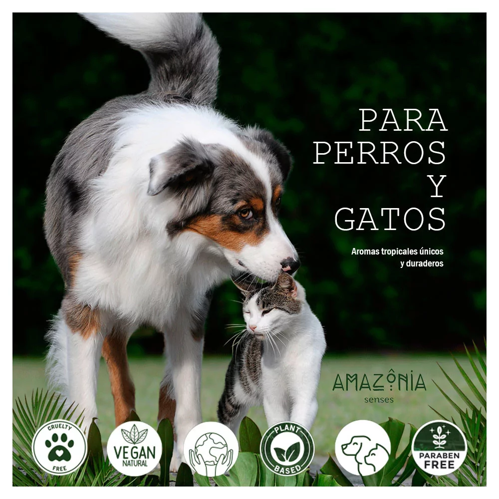 Shampoo para Baño Seco Perros y Gatos Amazonia Senses 500ml
