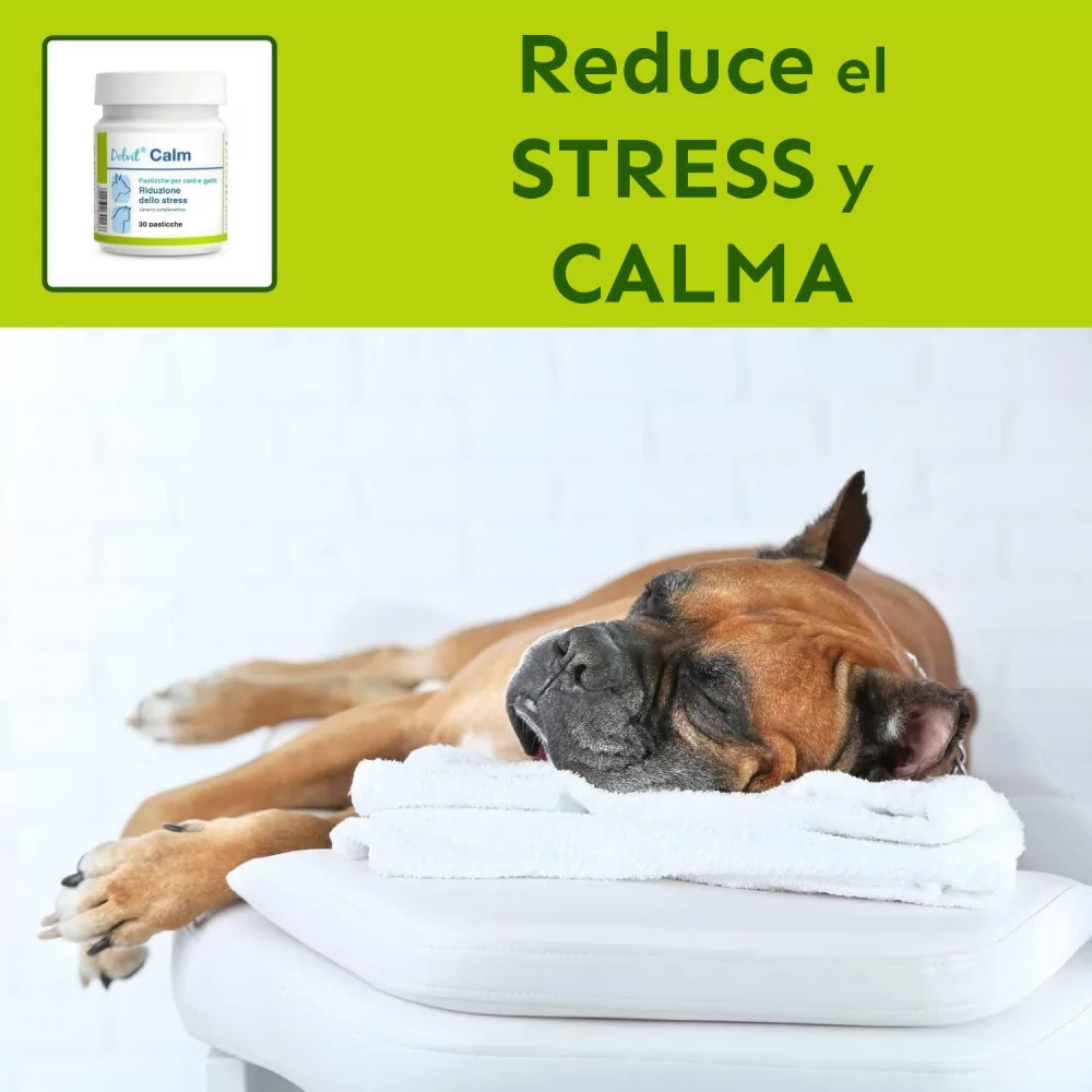 Suplemento Relajante Ansiolítico Natural Dolvit Calm 30 Tab Dolfos Pet